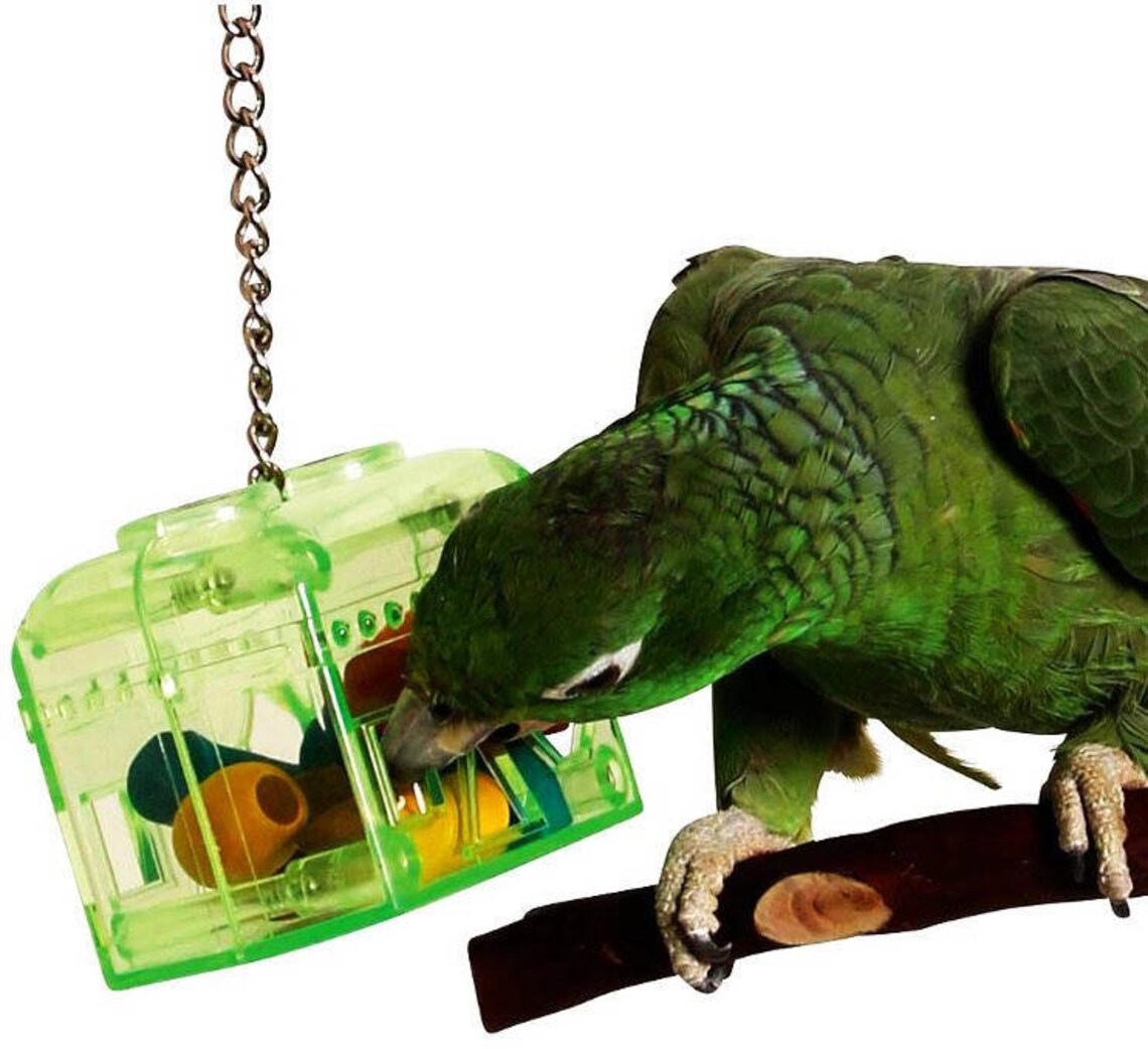 Bonka Bird Toys 60019 Large Treasure Chest - Etsy