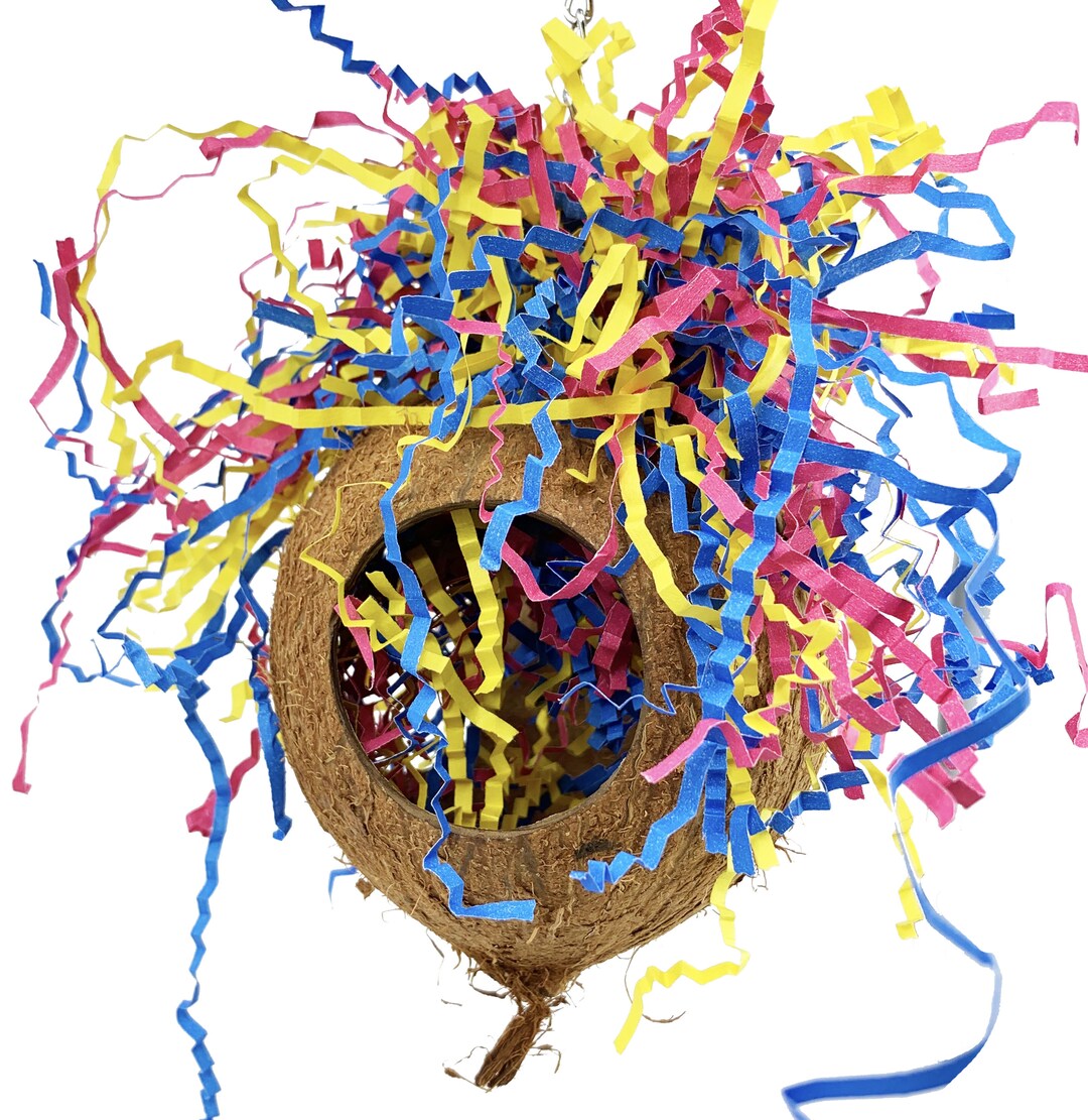 3195 Party Coco Bird Toy - Etsy