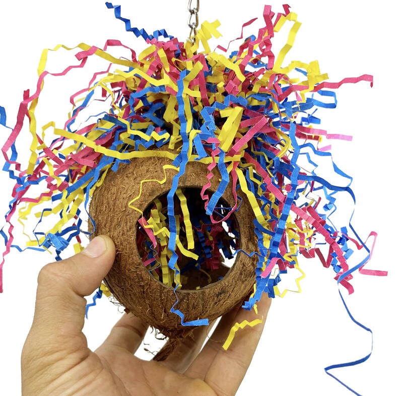 3195 Party Coco Bird Toy - Etsy