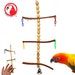 3195 Party Coco Bird Toy - Etsy