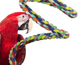 Natural Jute Rope Boing for Small Birds - Etsy