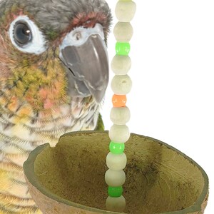 839 Coco Hanger Bird Toy - Etsy