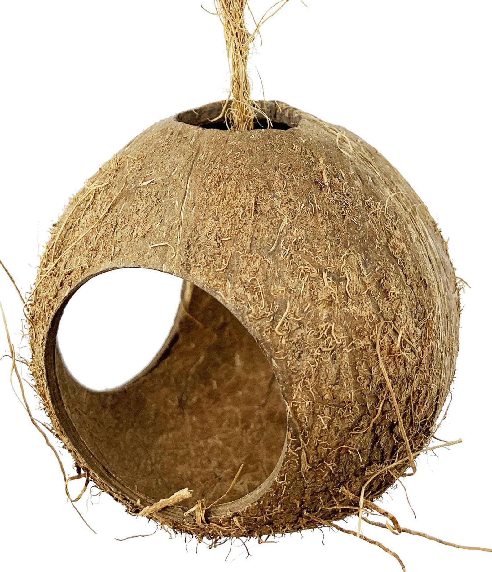 2114 Three Hole Coco Nest Hut Bird Toy - Etsy
