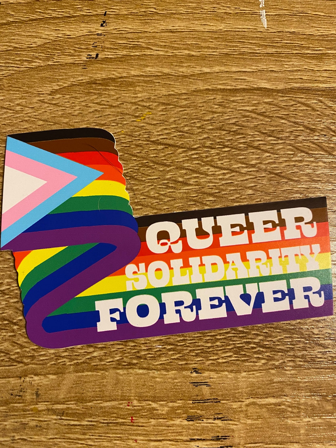 Queer Solidarity Forever Sticker - Etsy