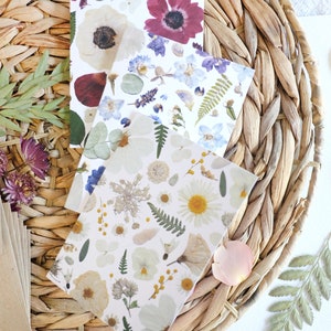 Pressed Flower Collage Note Card Set, Mix Pack of 6, Small Everyday ...