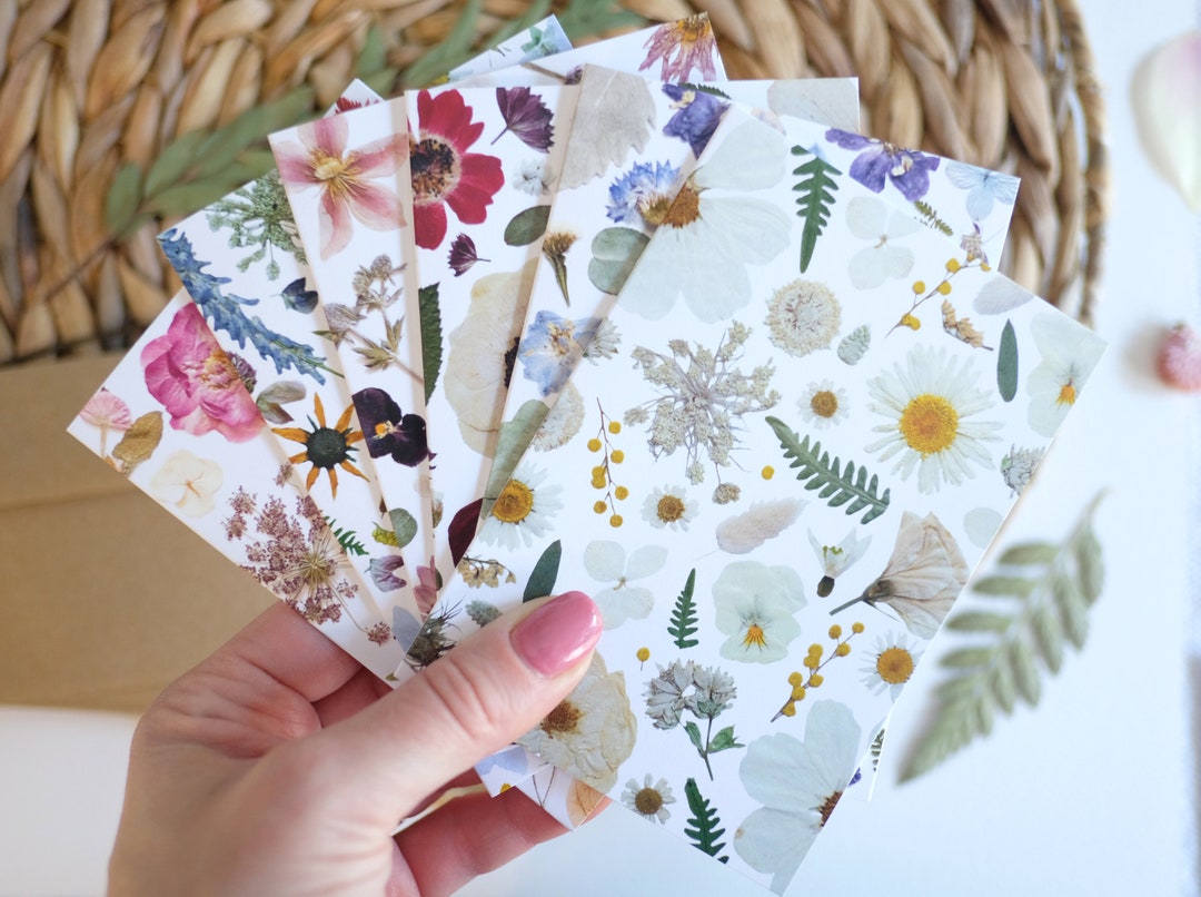 Pressed Flower Collage Note Card Set, Mix Pack of 6, Small Everyday ...