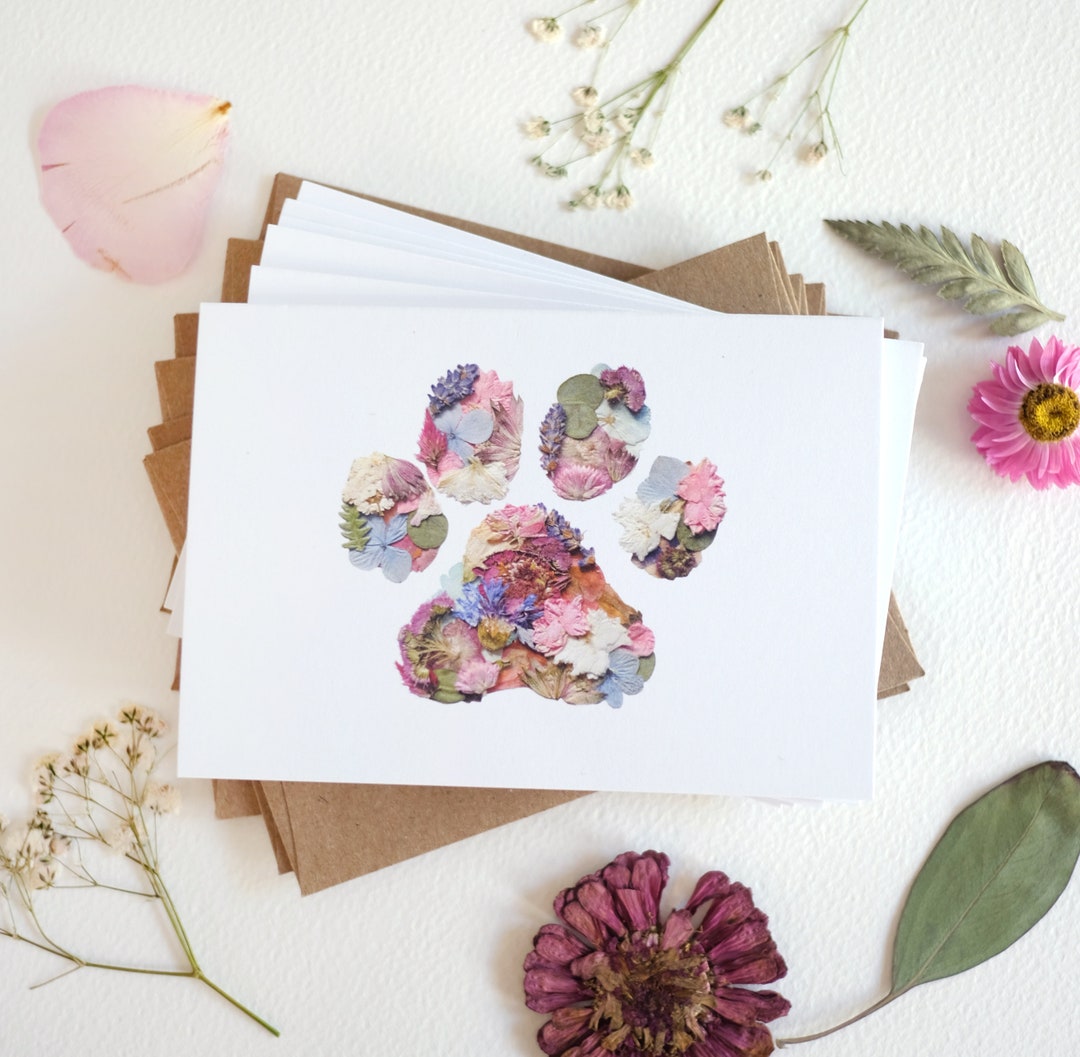 Dog Paw Print Pressed Flower, Boxed Note Cards, Set of 6, Digitally ...