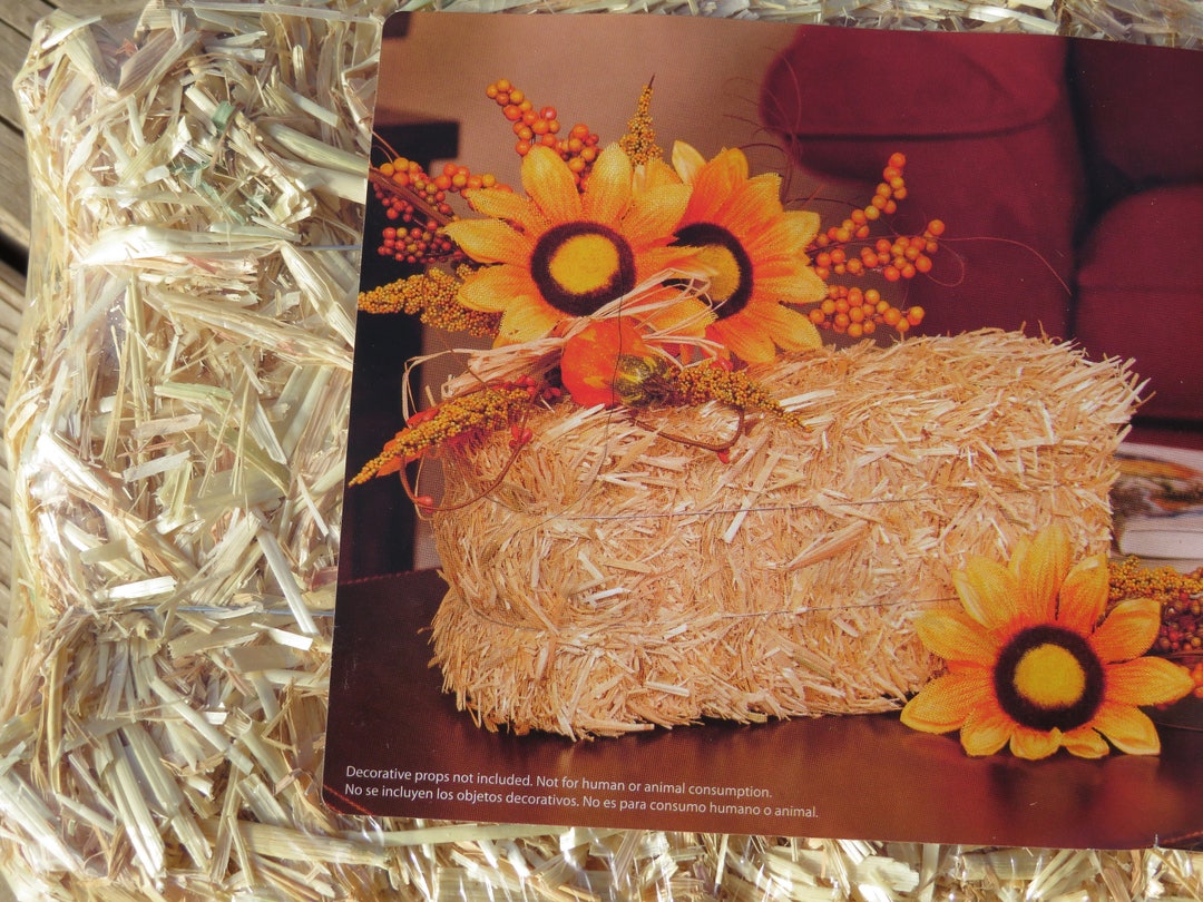Medium Straw Bales,13 Inch X 5 Inch X 6 Inch,fall Crafts,gardening ...