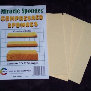 Compressed Artist Sponges,the Color Wheel,4/pkg,3"x4",miracle Sponges ...