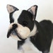 French Bulldog - PDF Dog Sewing Pattern - Etsy