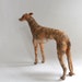 Greyhound - Pdf Sewing Pattern - Etsy