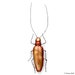 Beetle Collection -sewing Pattern and Tutorial (PDF Digital File ...