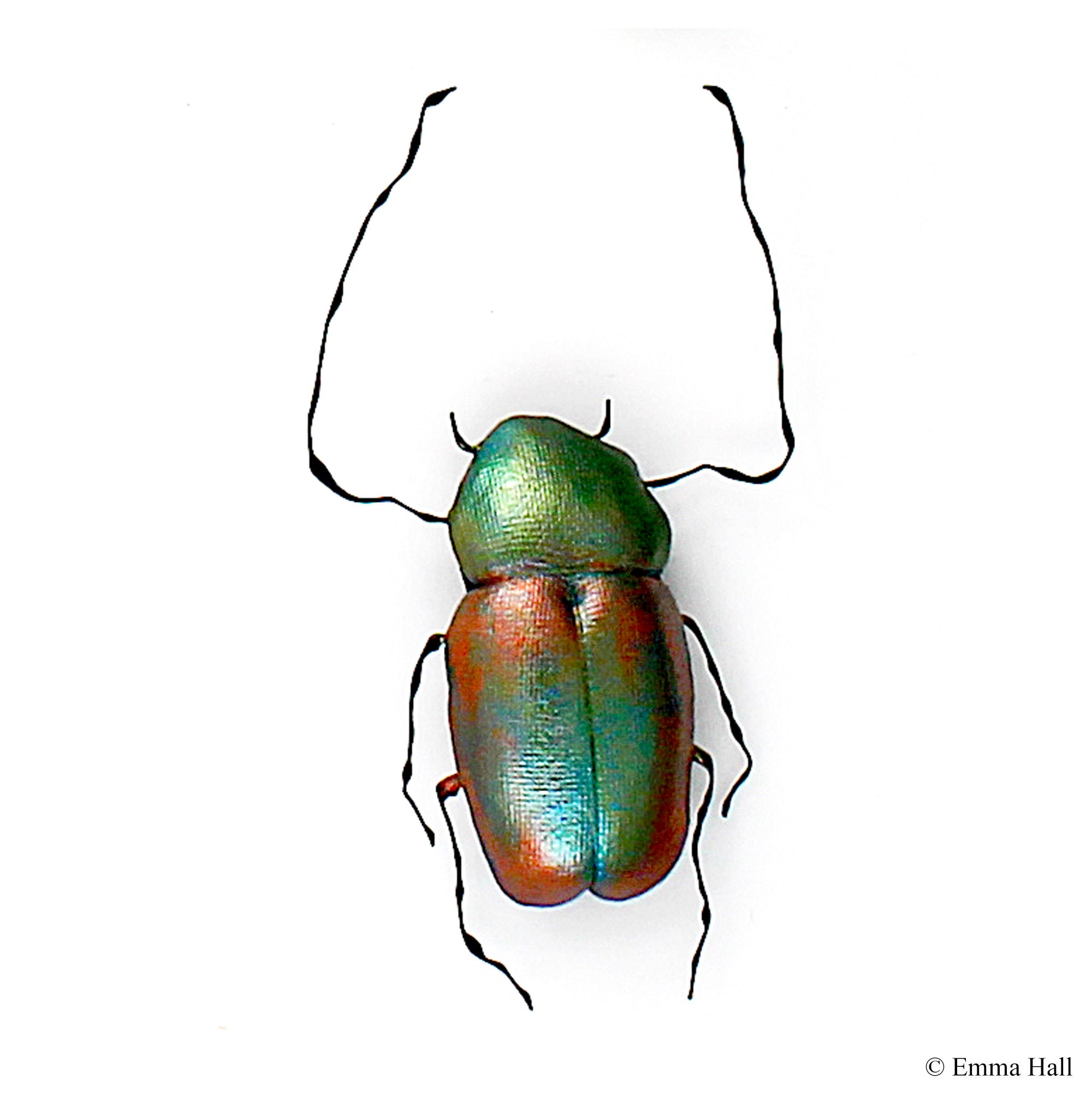 Beetle Collection -sewing Pattern and Tutorial (PDF Digital File ...