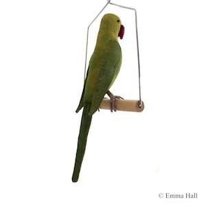 Parakeet - Pdf Digital Sewing Pattern - Etsy