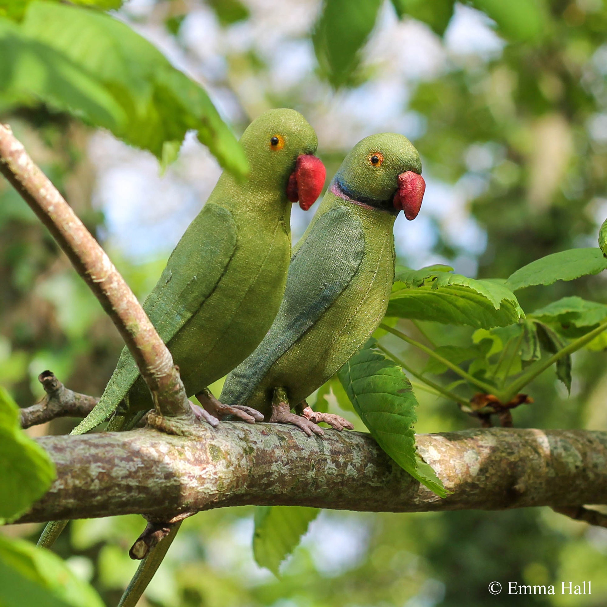 Parakeet Pdf Digital Sewing Pattern - Etsy