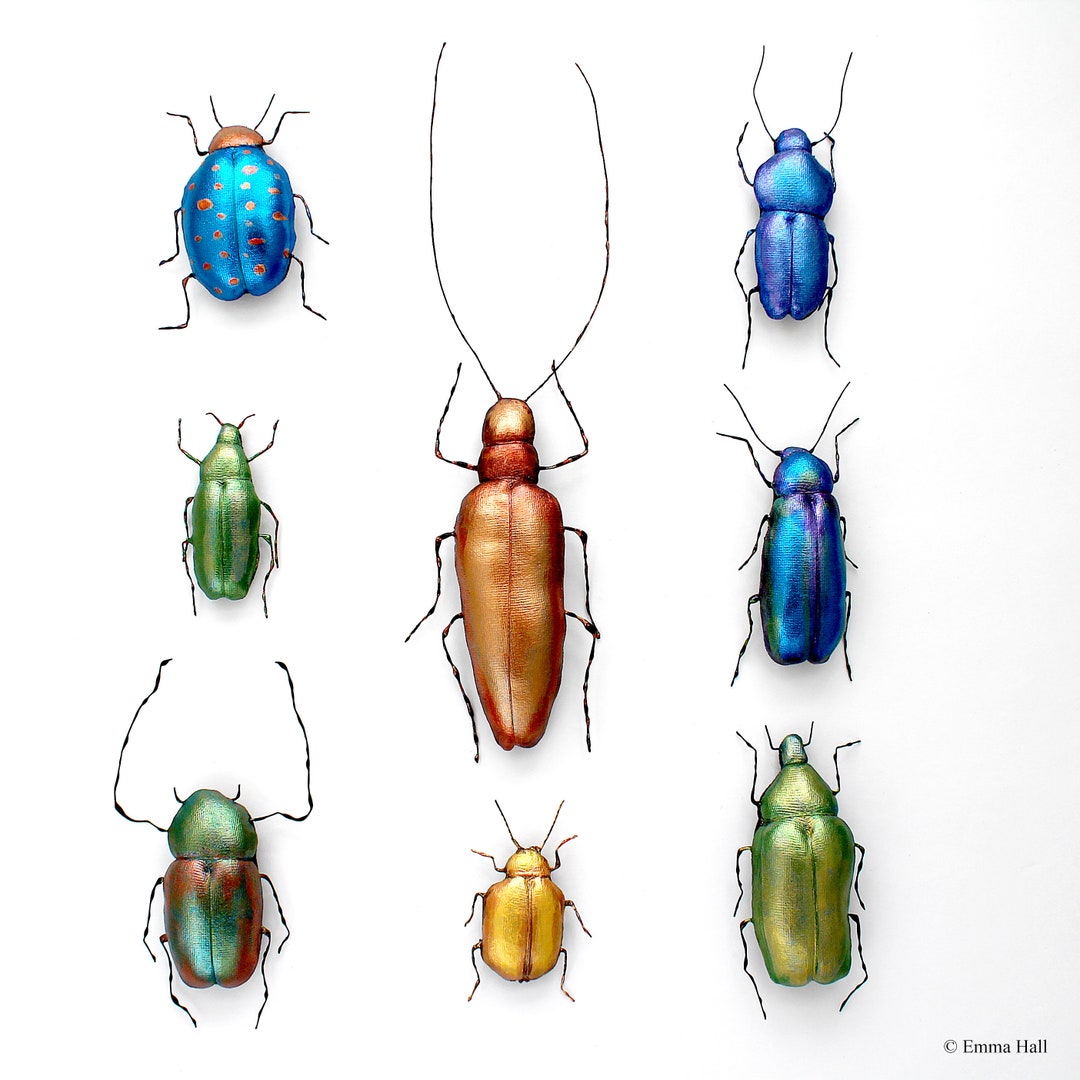 Beetle Collection -sewing Pattern and Tutorial (PDF Digital File ...