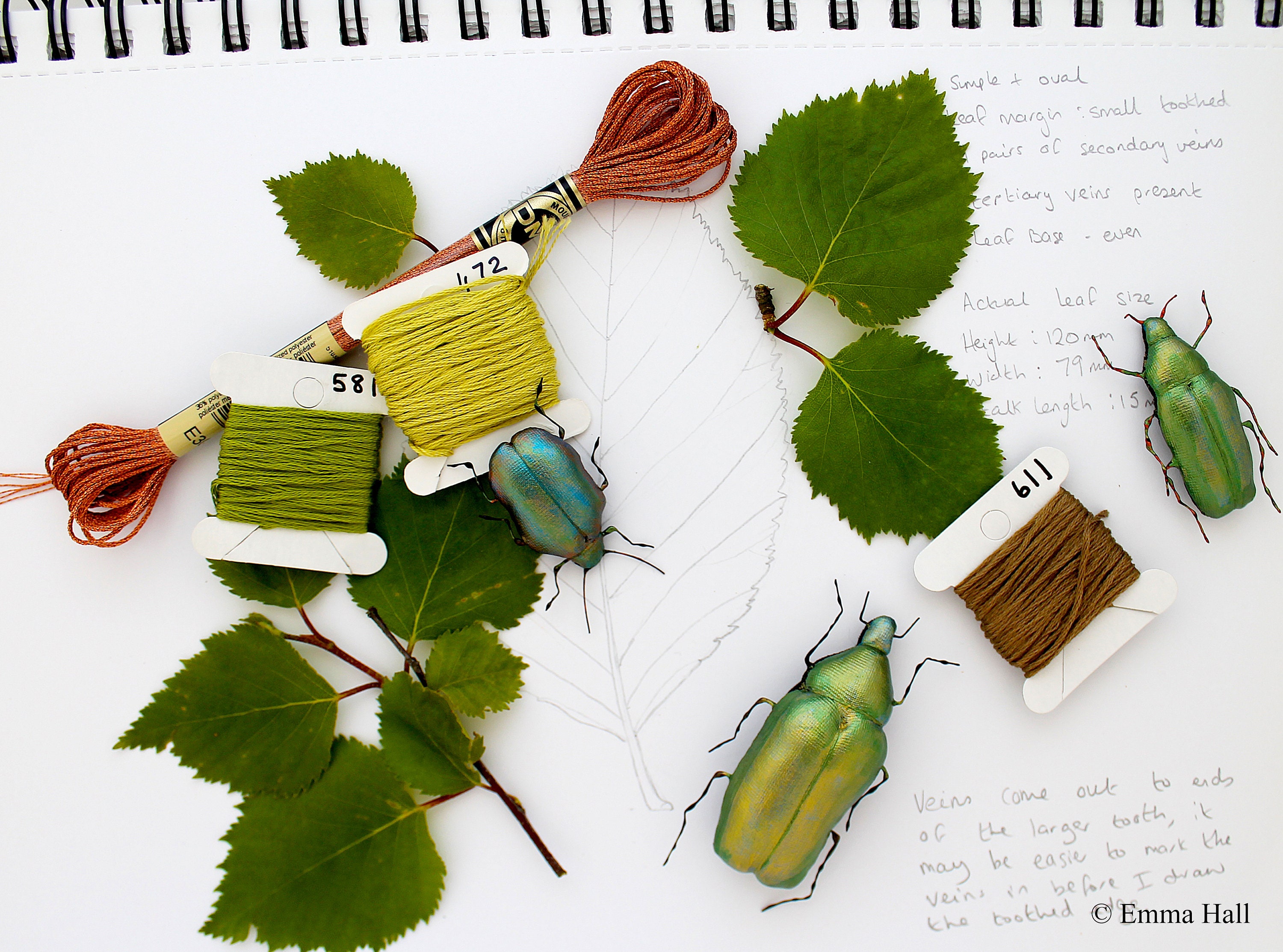 Beetle Collection -sewing Pattern and Tutorial (PDF Digital File ...