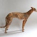 Greyhound - Pdf Sewing Pattern - Etsy