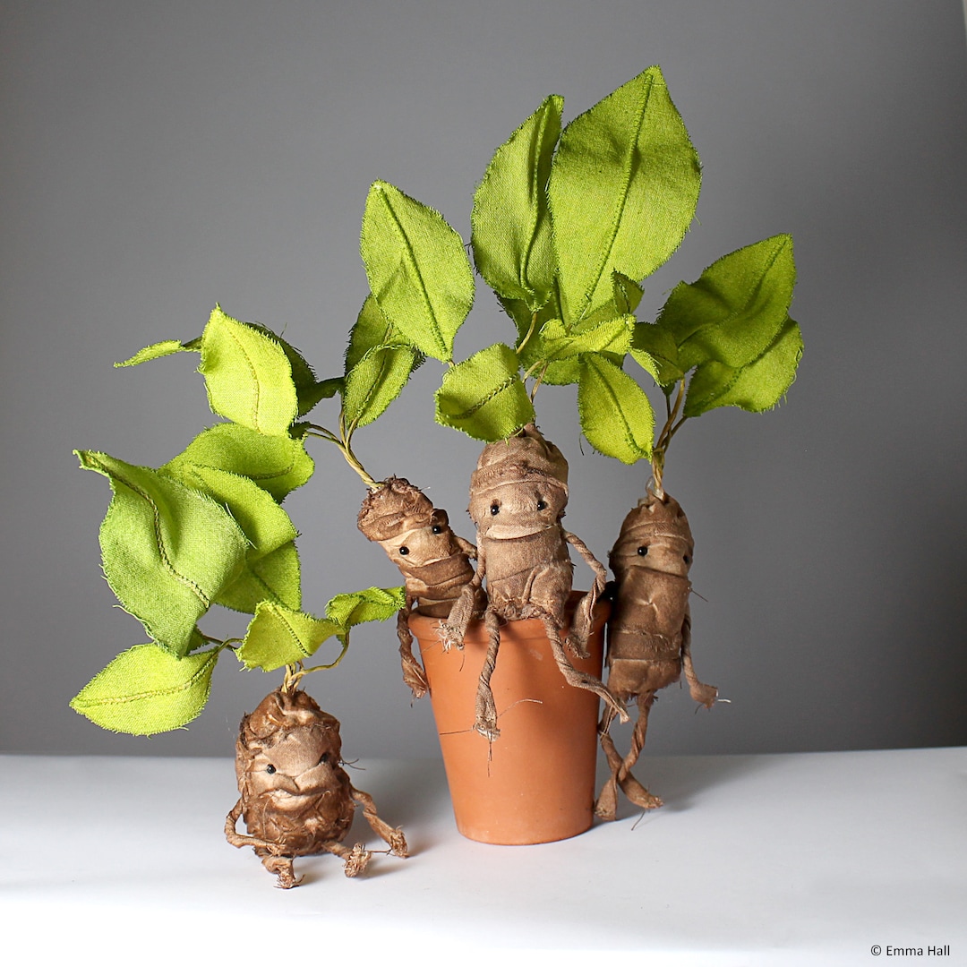 Mandrake -sewing Pattern and Tutorial (PDF Digital File Download) - Etsy