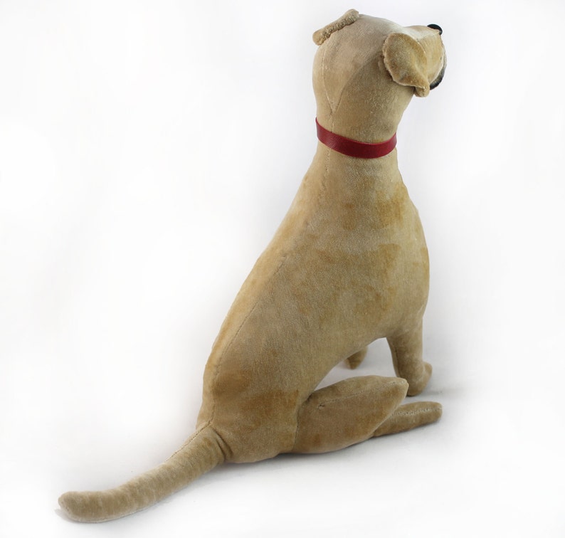 Labrador Retriever - PDF Dog Sewing Pattern - Etsy