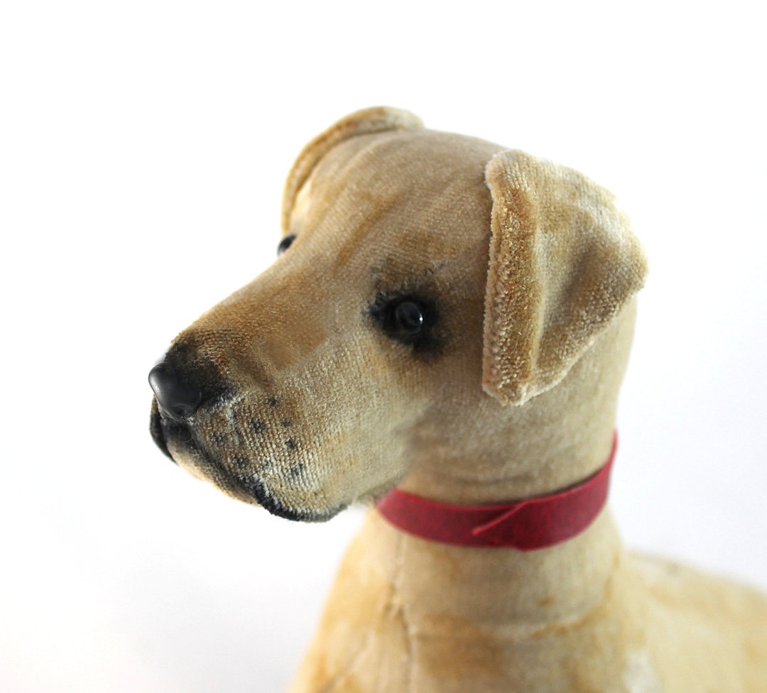 Labrador Retriever - PDF Dog Sewing Pattern - Etsy