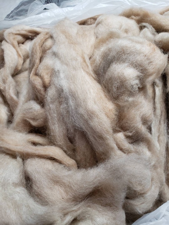 Yellow Brick Road Fantasy Roving CVM wool silk alpaca | Etsy