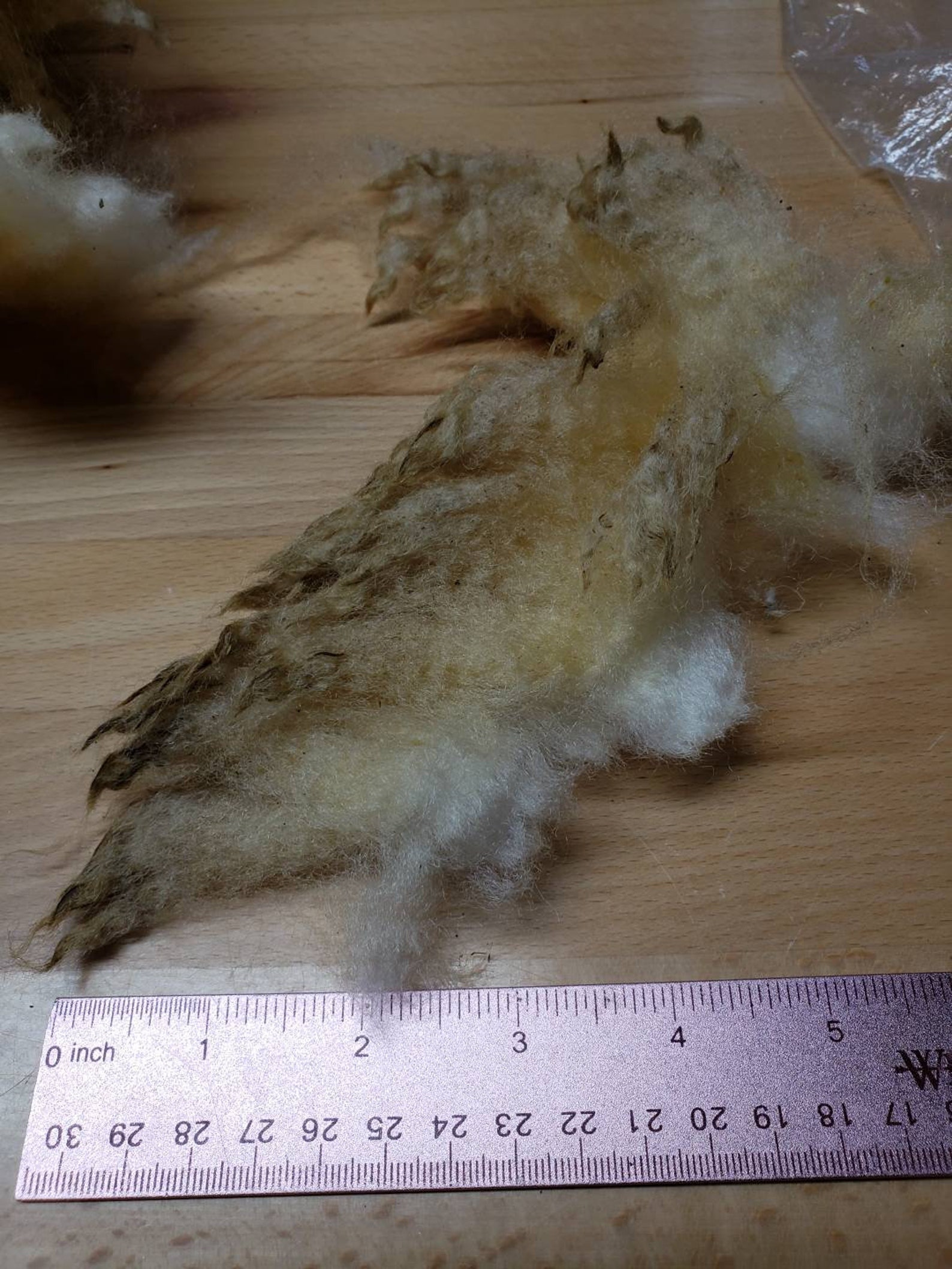 Dorset Horn Raw Wool Shave'em to Save'em - Etsy