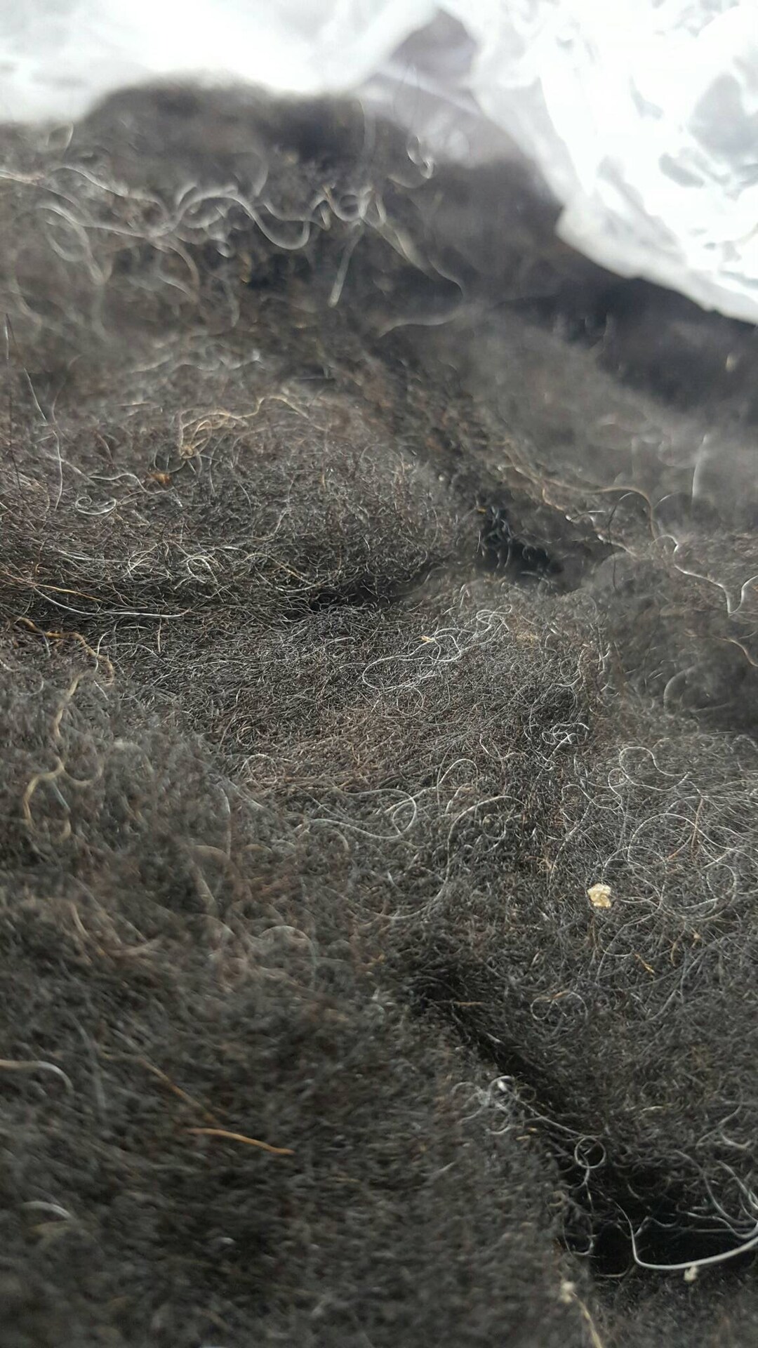 Black Shetland Wool Roving US Small Farm - Etsy