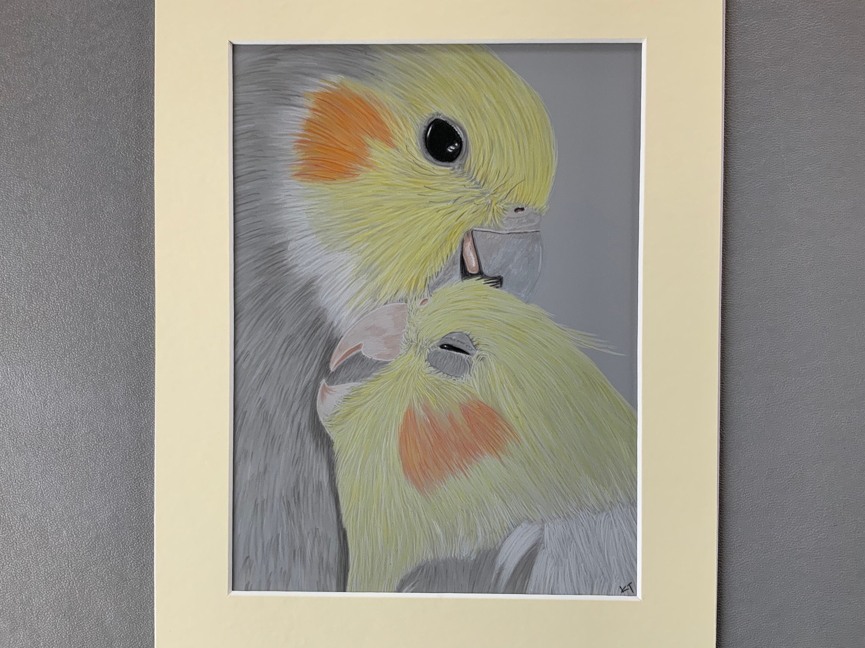 Drawing & Illustration Pencil Art & Collectibles Cockatiel Pencil ...