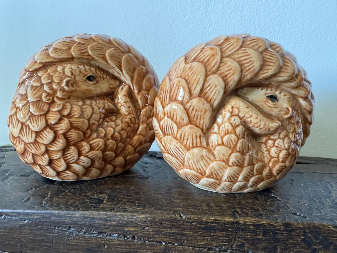 Pangolin Salt and Pepper Pots Hand Painted Pangolin Salt and Pepper ...