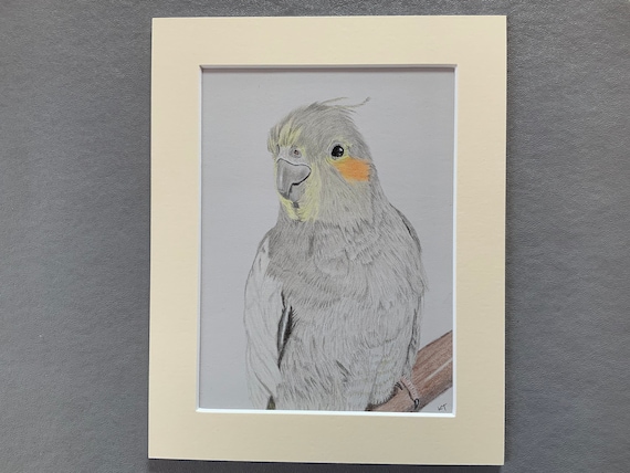 Cocktail Bird Drawing