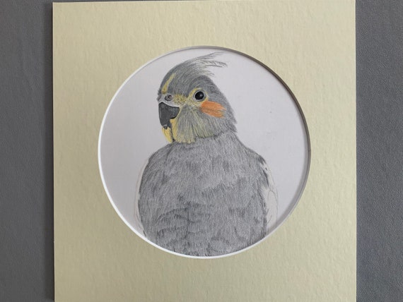 Drawing & Illustration Pencil Art & Collectibles Cockatiel Pencil ...