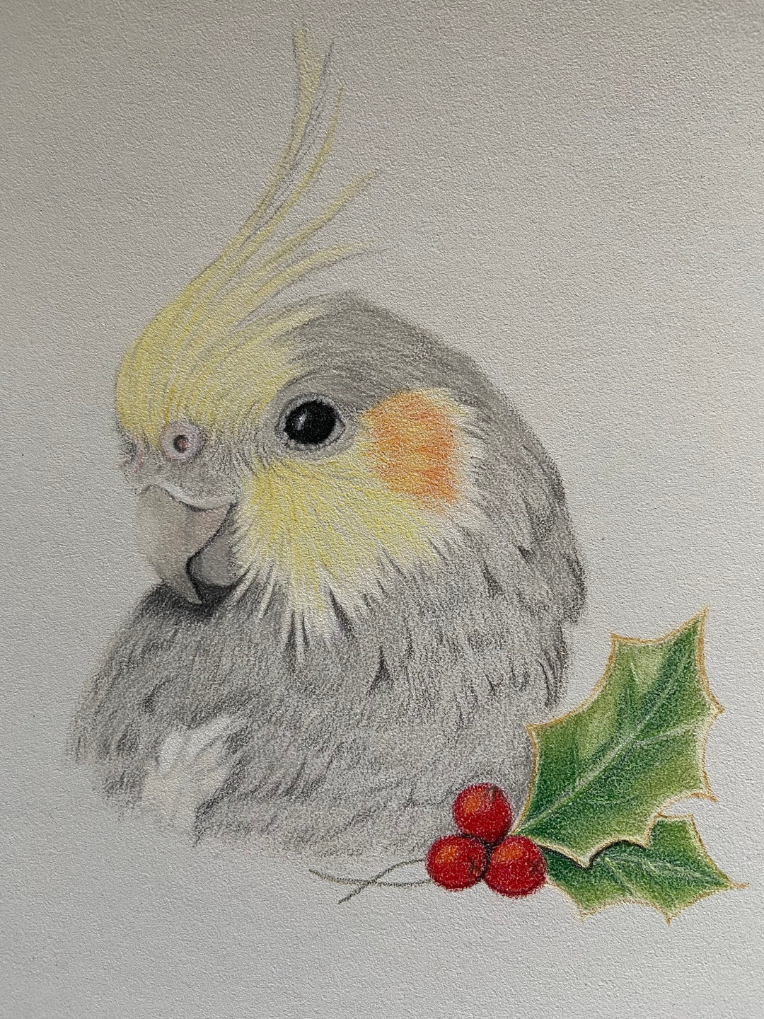 Cockatiel Pencil Art Drawing Mounted Cockatiel Christmas - Etsy