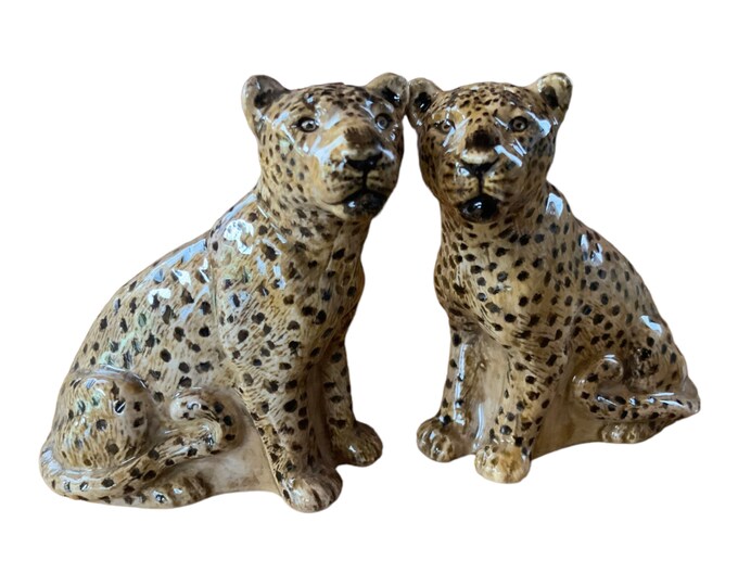 Leopard Salt and Pepper Pots Leopard Cruet Set Hand Painted Fine ...