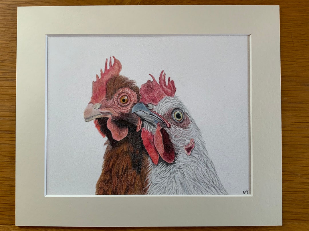 Hens Coloured Pencil Original Art - Chicken’s Original Drawing - Etsy
