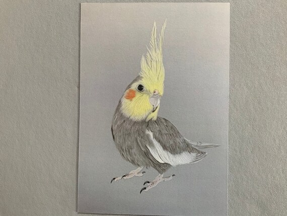 Cocktail Bird Drawing