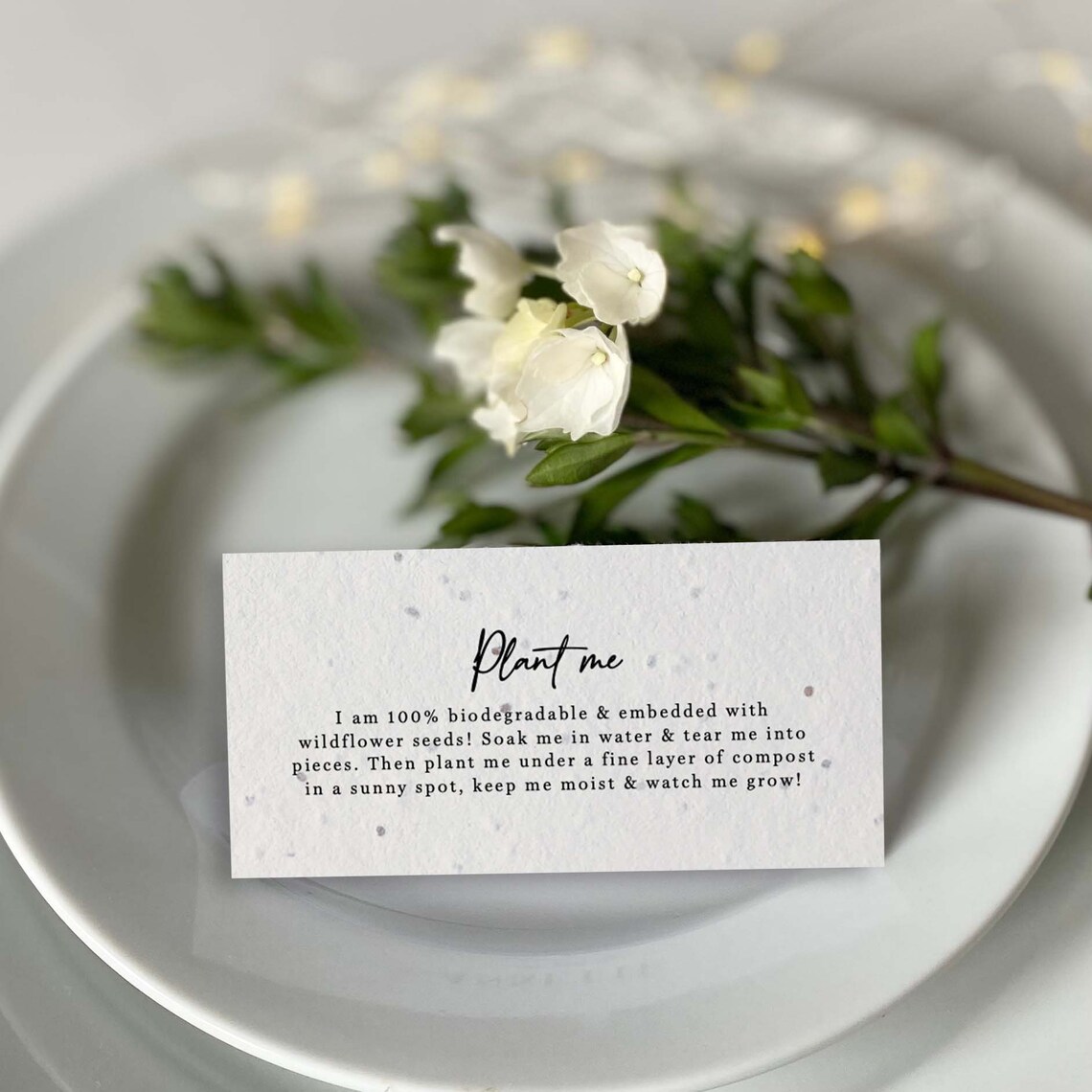 Plantable Folded Name Card Wedding Favor Place Card Sustainable Guest ...