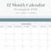 12 Month Calendar - Fillable - Printable PDF - Printable Planner ...