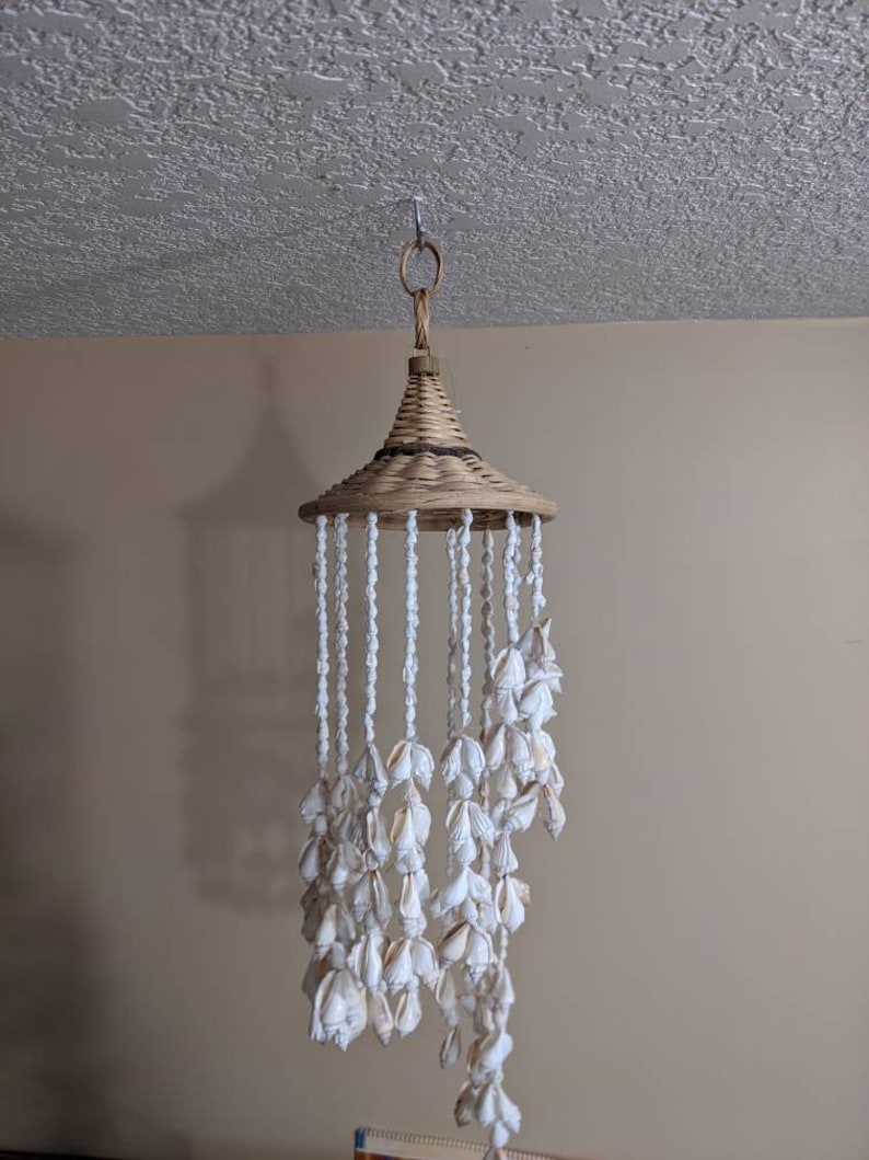 Bohemian Shell Shell Decor Boho Decor Beach Style Seashell | Etsy