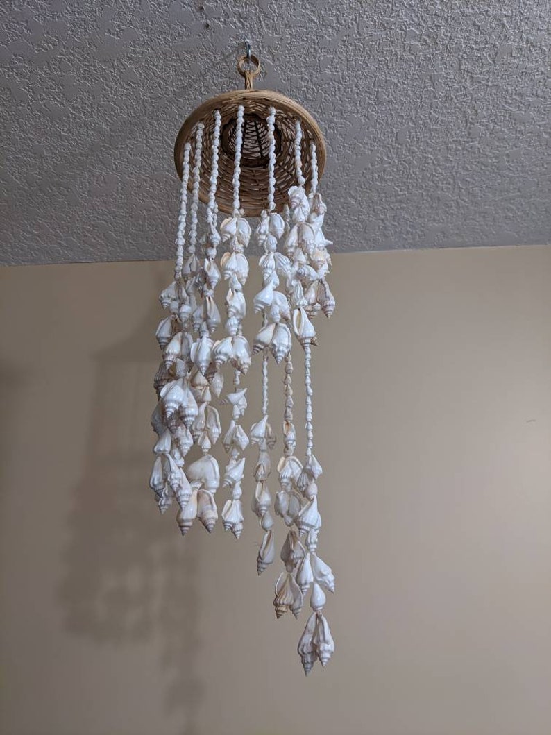 Bohemian Shell Shell Decor Boho Decor Beach Style Seashell | Etsy