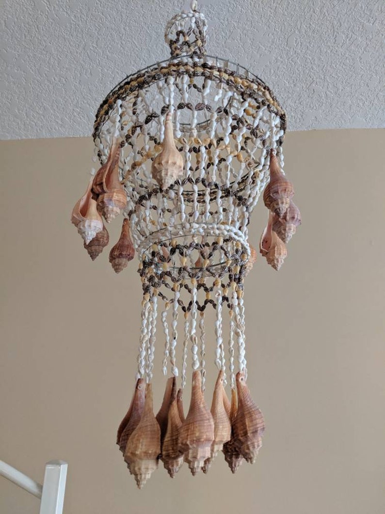 Bohemian Shell Shell Decor Boho Decor Beach Style Seashell - Etsy