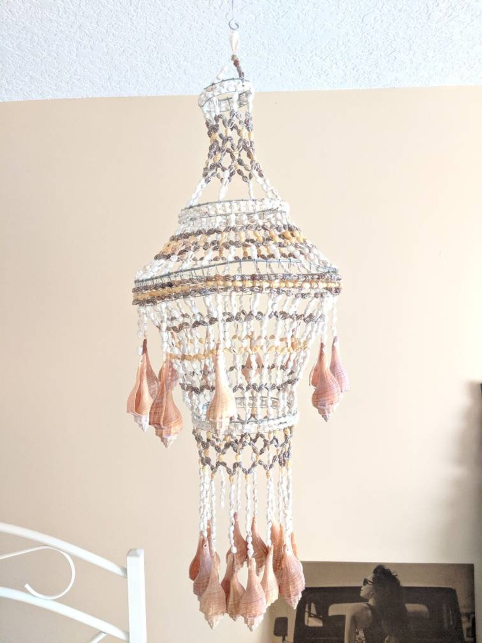 Bohemian Shell Shell Decor Boho Decor Beach Style Seashell - Etsy