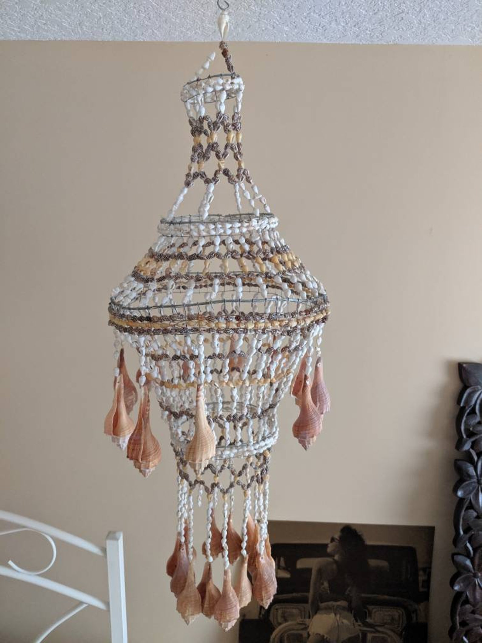 Bohemian Shell Shell Decor Boho Decor Beach Style Seashell - Etsy