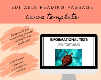 Canva Template Reading Comprehension - Etsy