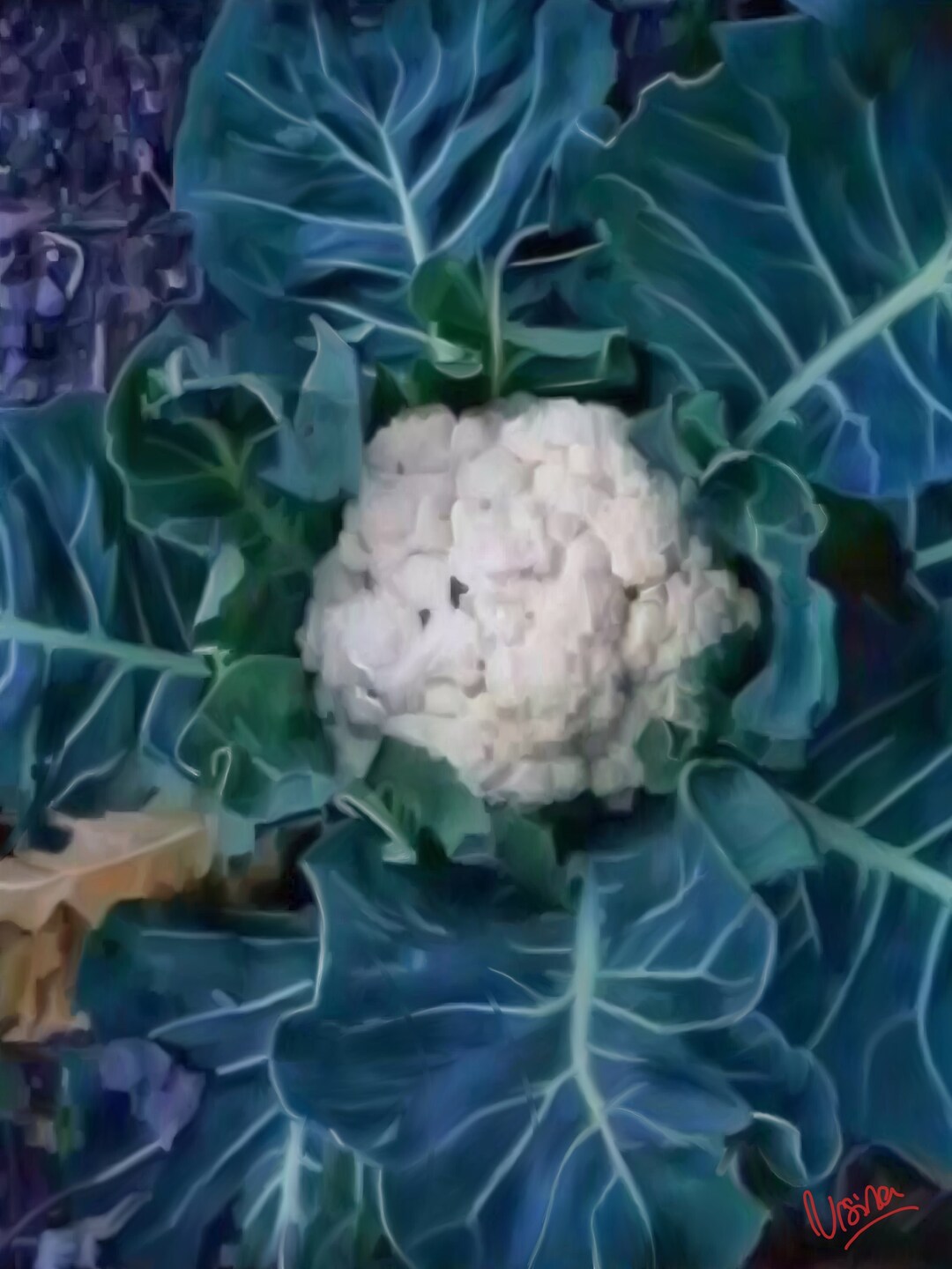 Printable Sheet, Vegetable Artwork, Printable Art, Realistic ...