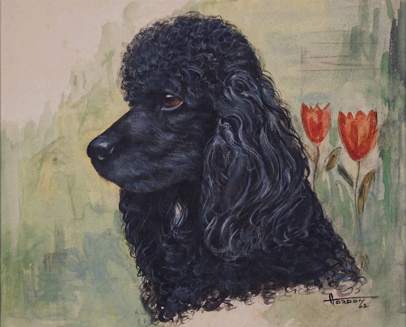 Watercolor Painting Black Poodle Dog Pet Portrait Signed Gordon Framed ...