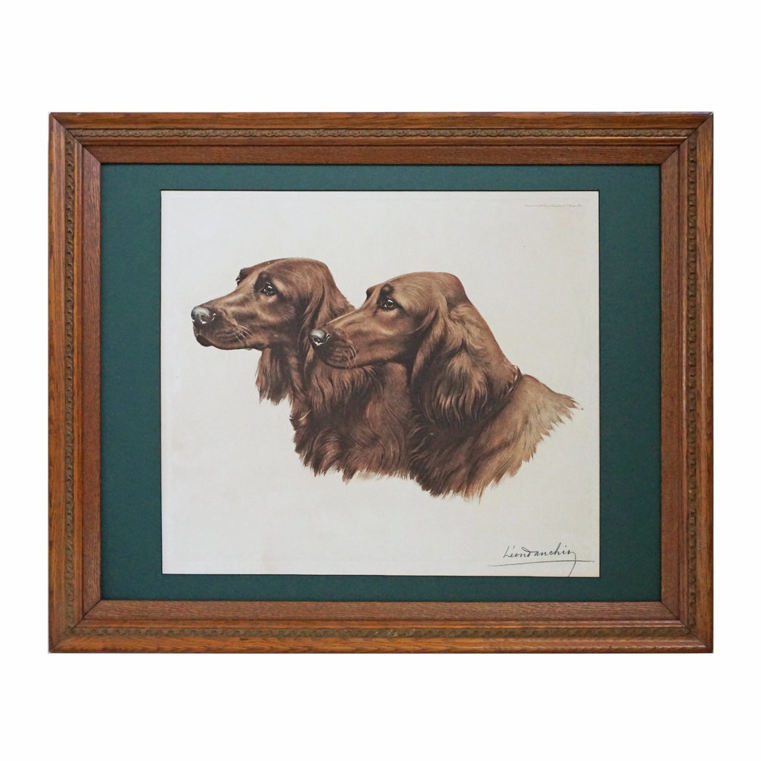 Irish Setter Dog Portrait Framed Etching Signed Leon Danchin Sporting ...