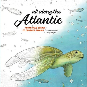 atlantic ridley sea turtle coloring pages
