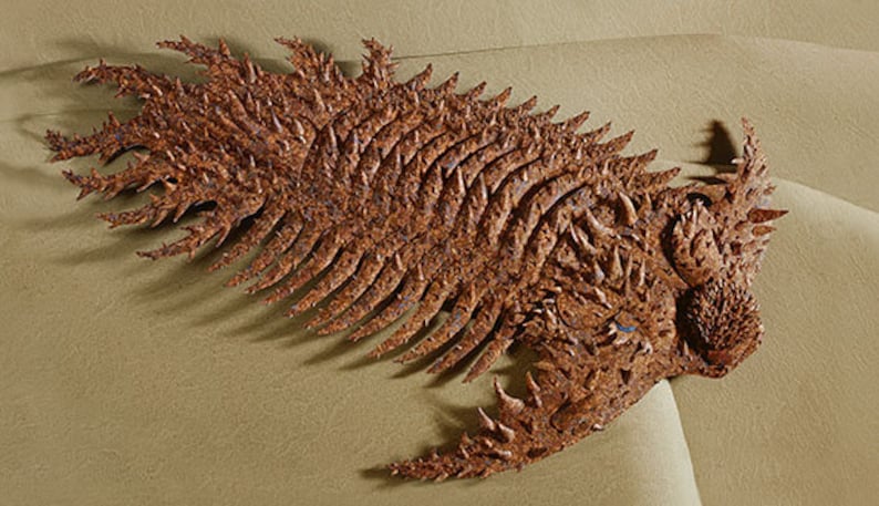 Blank Card - 'trilobite: Terataspis Grandis' - Paper Sculpture, Print ...