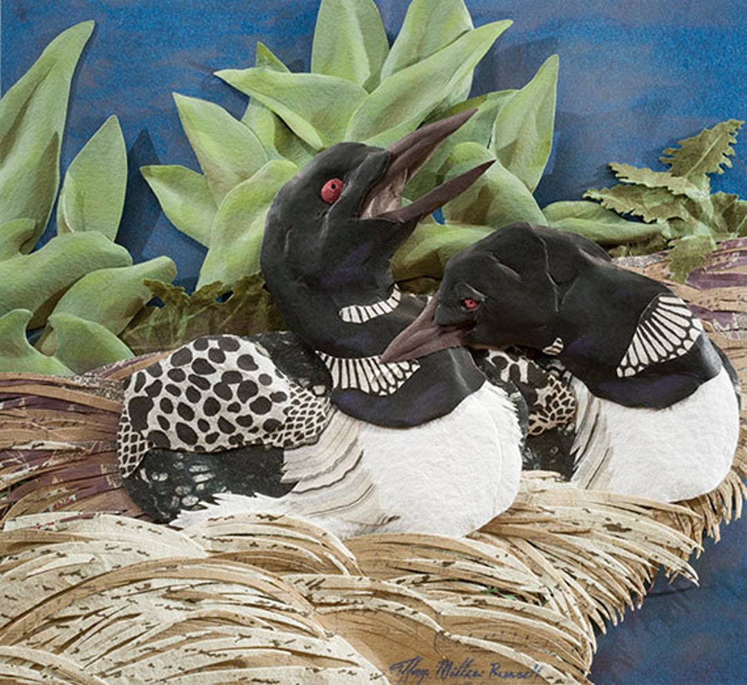 Together Nesting Loon Couple Giclee Fine Art Reproduction - Etsy